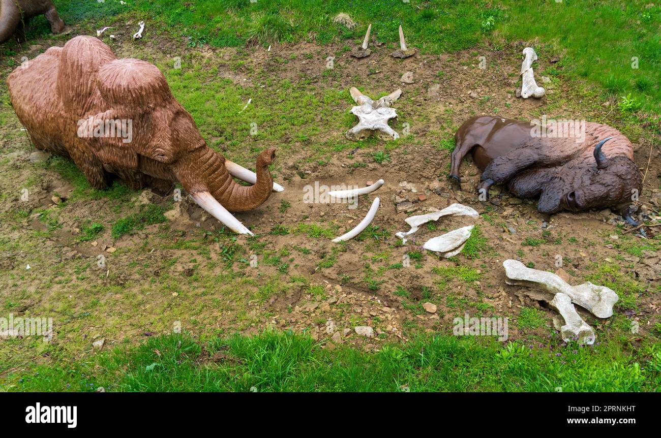 Big Bone Lick in Kentucky Stock Photo - Alamy