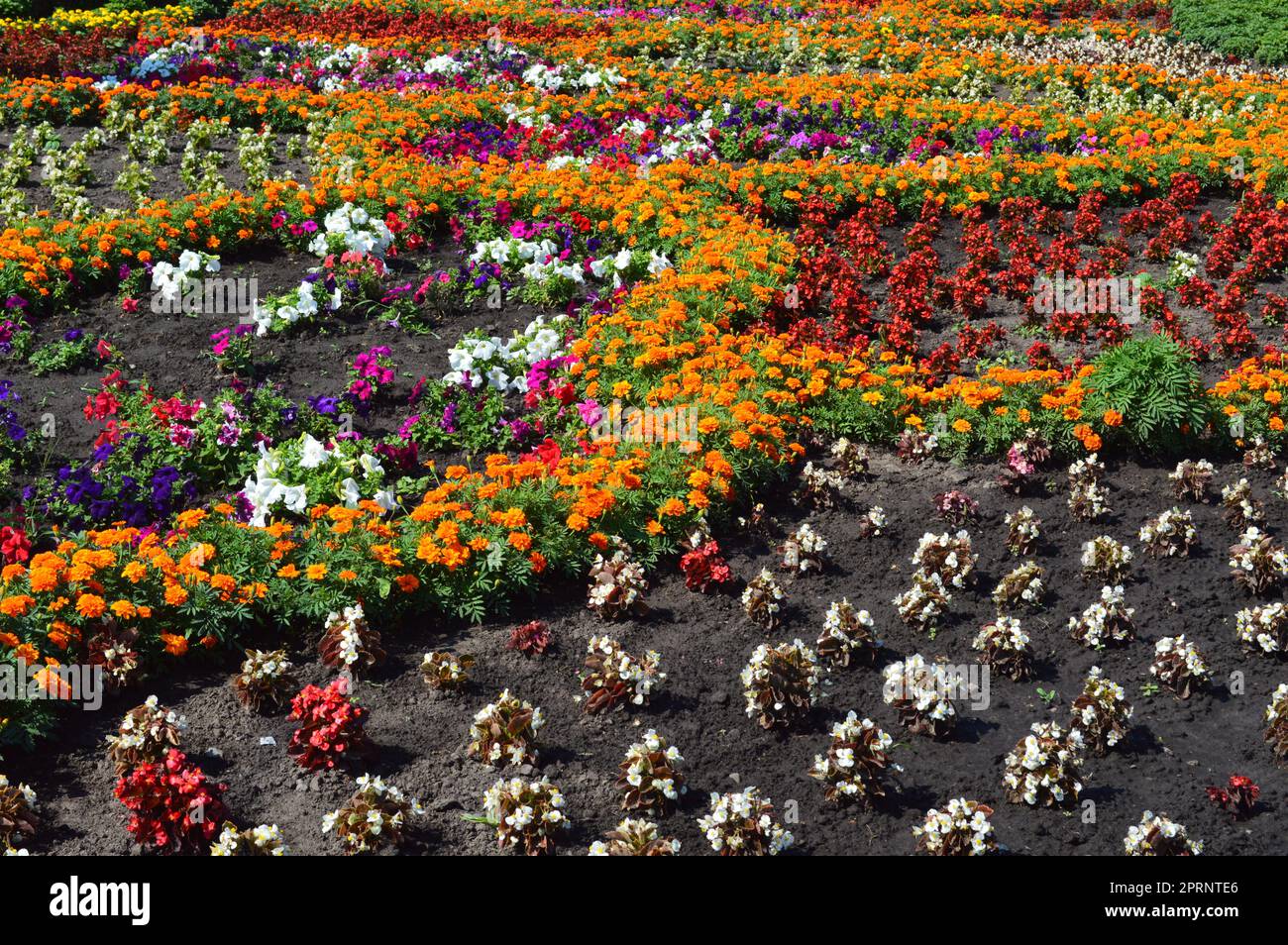 Landscape design of flower arrangements Stock Photo - Alamy