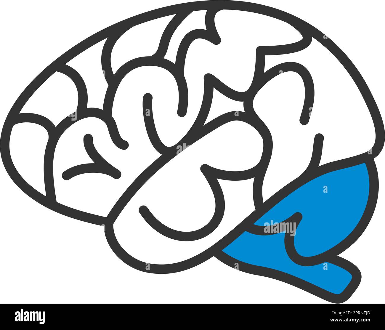 Genius brain icon outline hi-res stock photography and images - Alamy