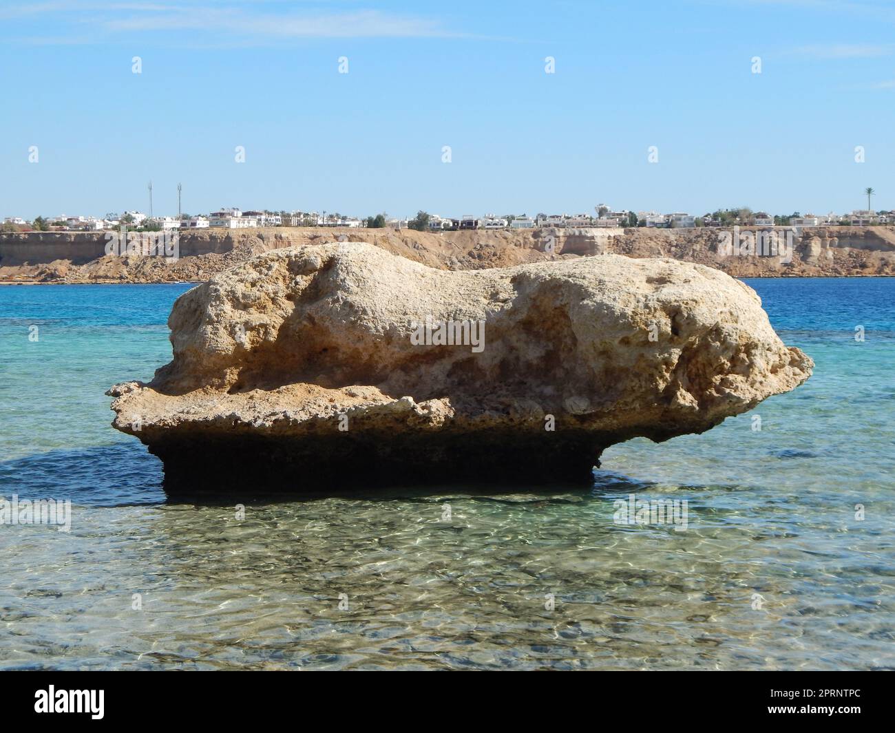 Stone texture on the Red Sea of Egypt Stock Photo - Alamy