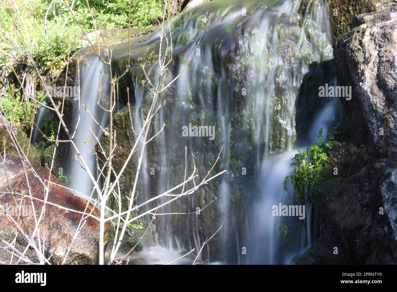 forest nature landscape trees boils waterfall places Stock Photo - Alamy