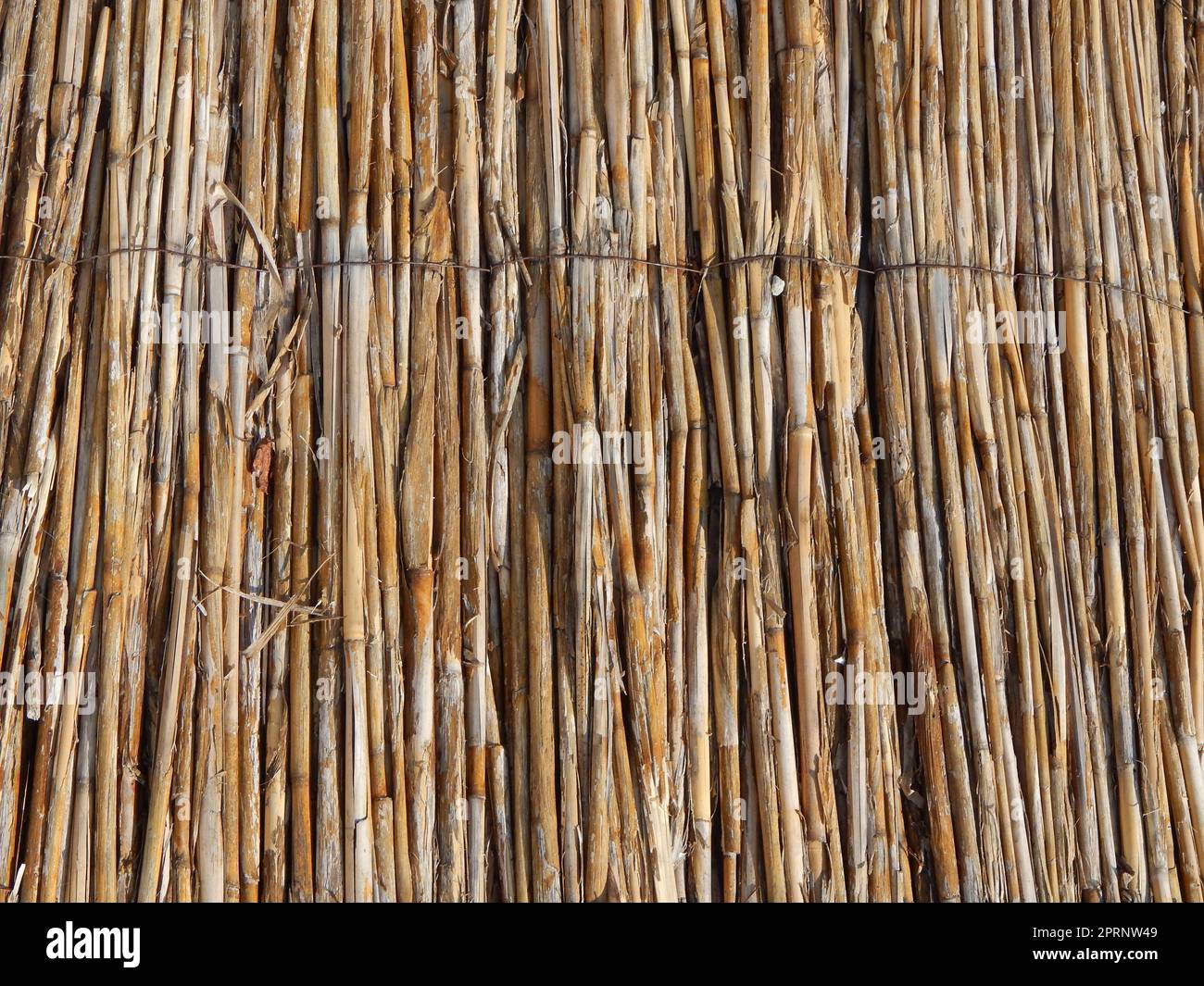 The texture of wood for construction and wall background Stock Photo ...