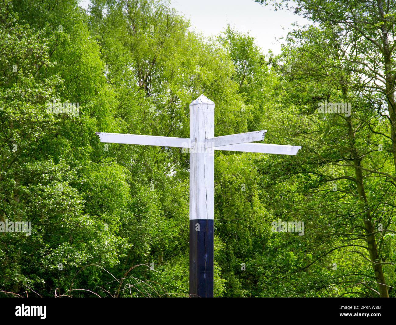 Blank wooden sign showing in three directions. Picture from a ...