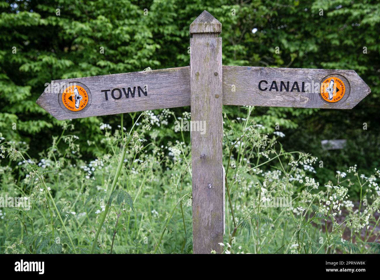 Wooden sign showing the direction to the canal and the town between ...
