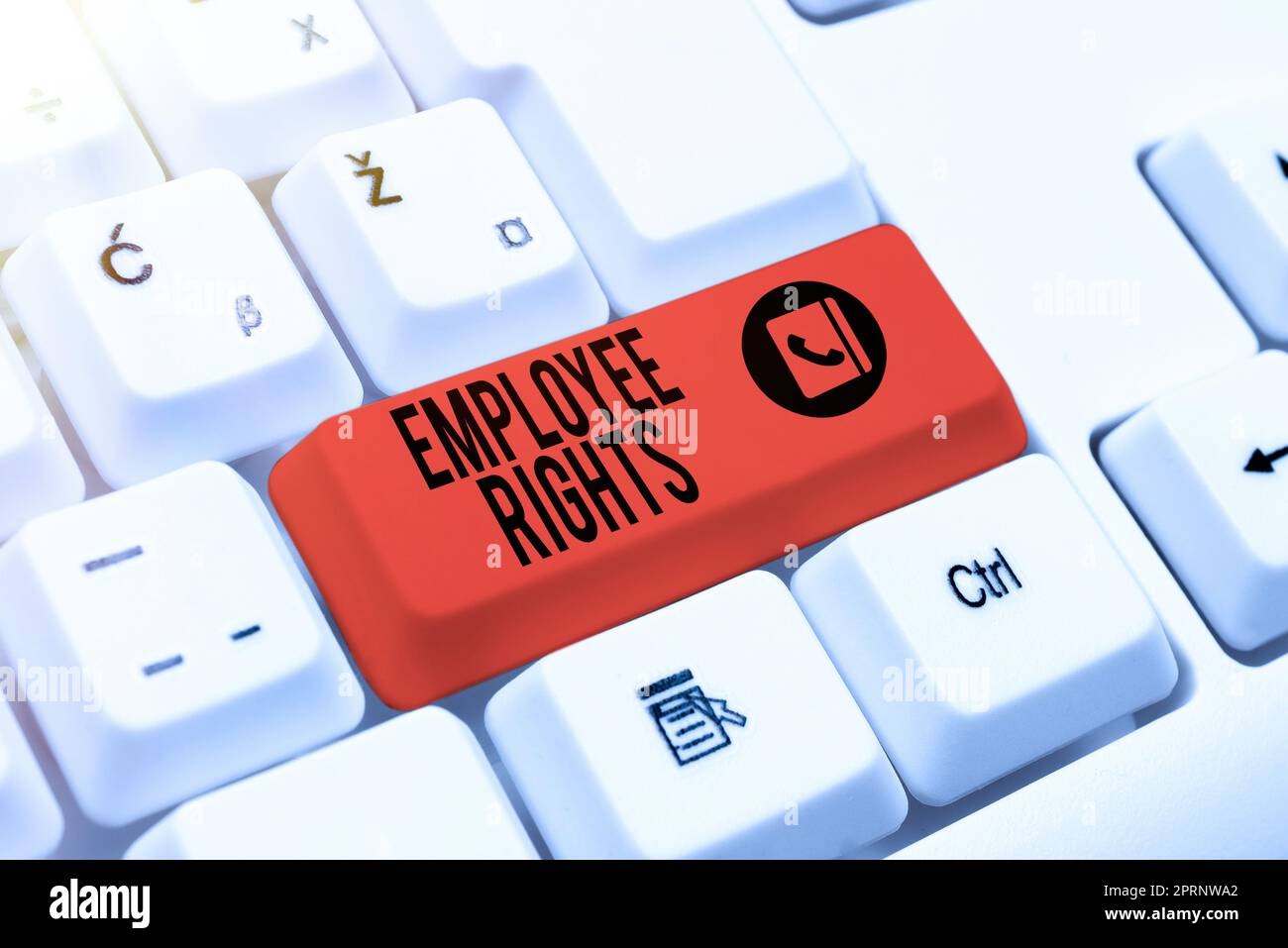 Text sign showing Employee RightsAll employees have basic rights in ...