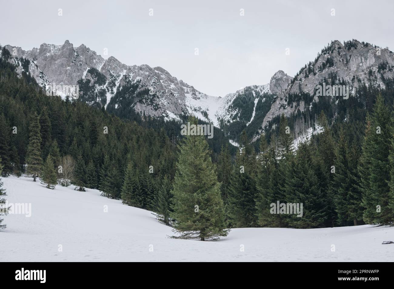 Natural landscape of Tatra Mountains seen from Koscieliska Valley ...