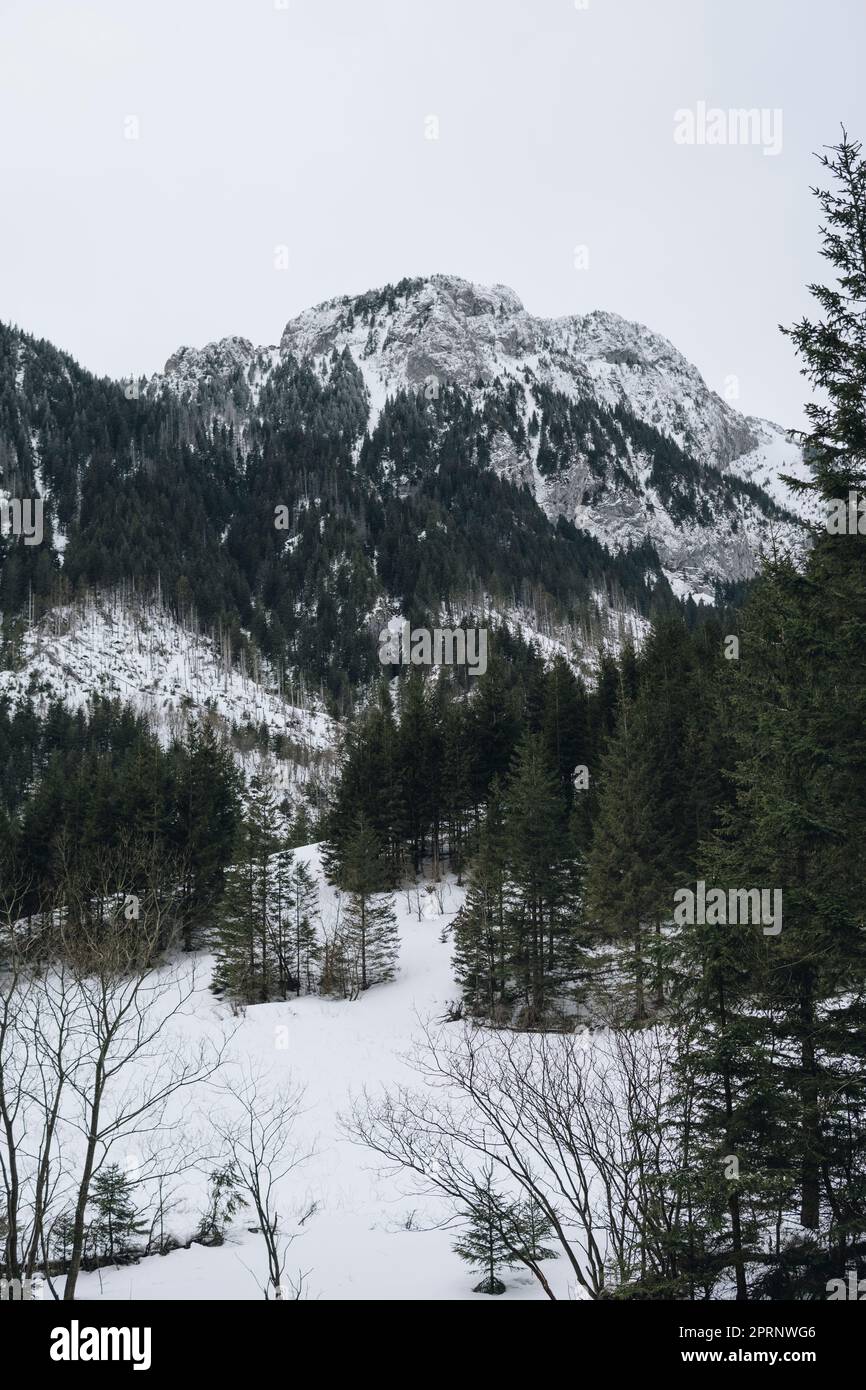 Natural landscape of Tatra Mountains seen from Koscieliska Valley ...