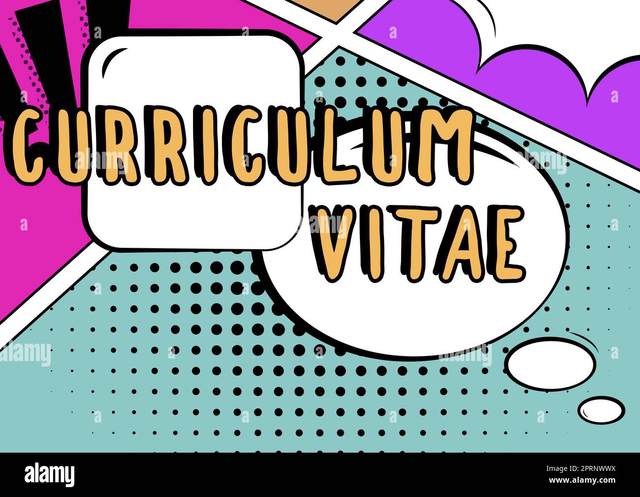 Text caption presenting Curriculum Vitaeoverview of person ...