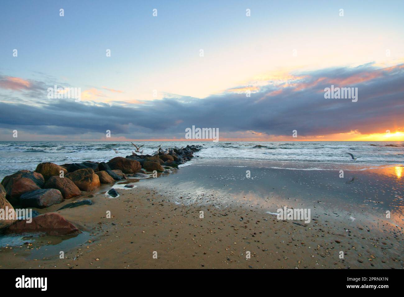 Sunset on the beach in Denmark. Stone groyne reaching into the North ...