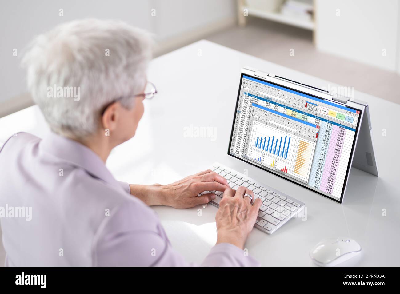 Electronic Spreadsheet Analyst Or Auditor Using Software Stock Photo ...