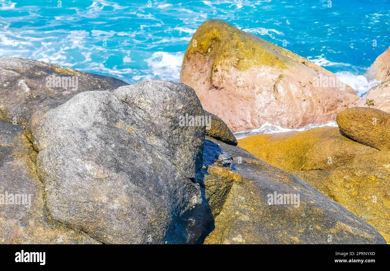 Extremely beautiful huge big surfer waves rocks cliffs stones and ...