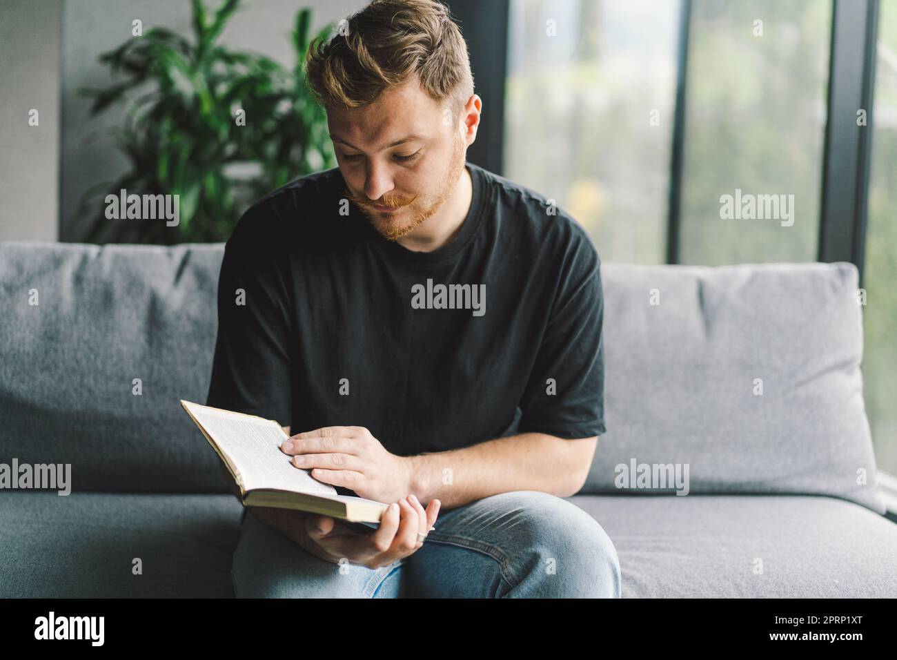 Christian man holds holy bible in hands. Reading the Holy Bible in a ...