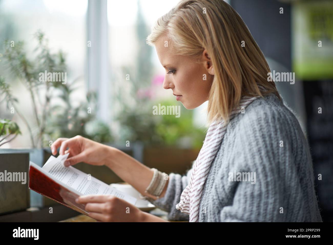 Woman book coffee shop hi-res stock photography and images - Alamy