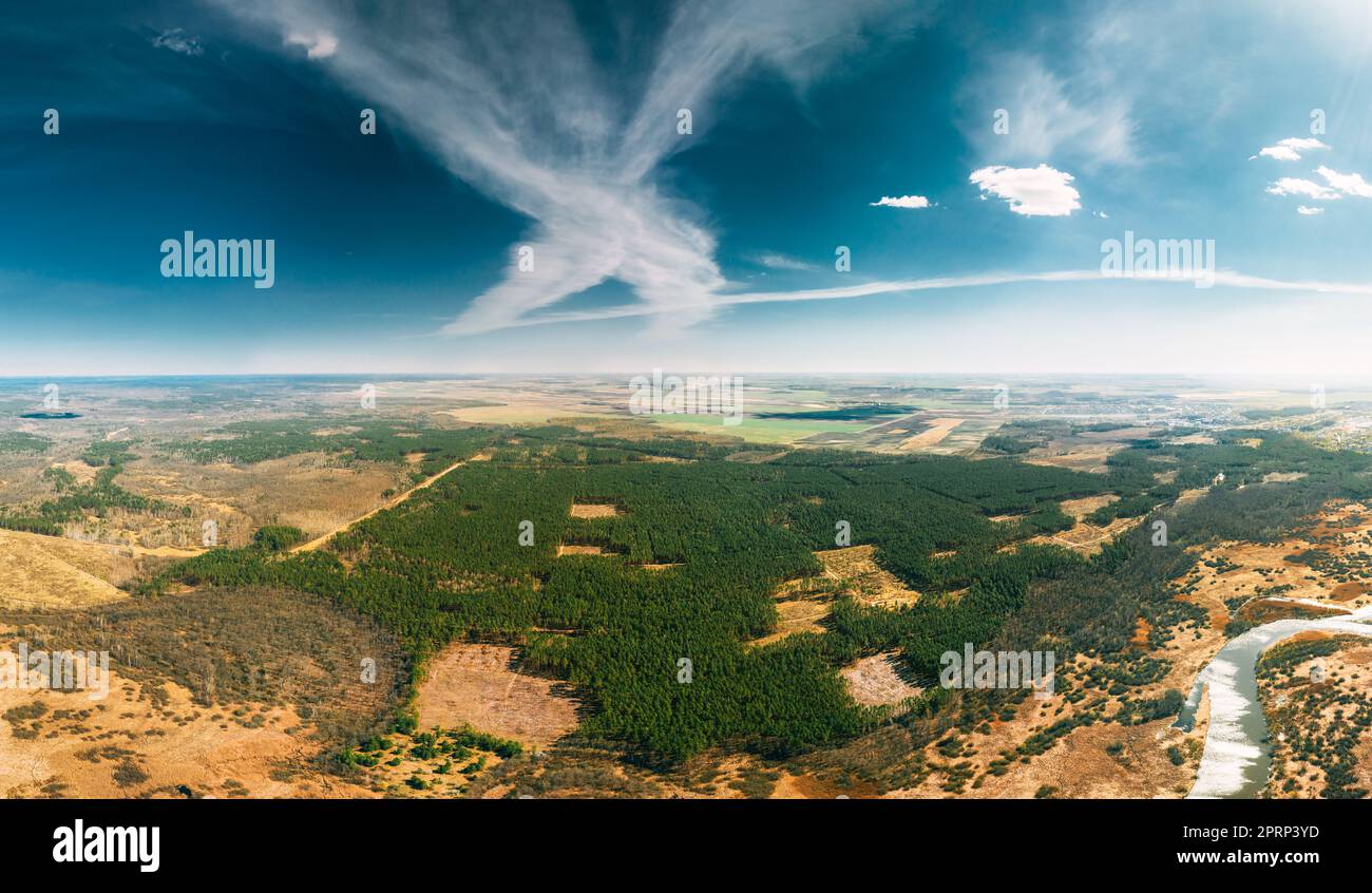Aerial View Of Deforestation Area Landscape. Green Pine Forest In ...