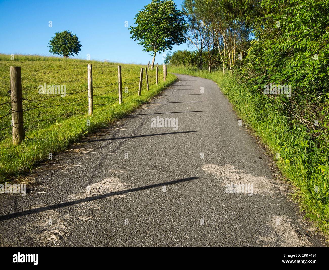 Sunny agricultural landscape asphalt hi-res stock photography and images - Alamy