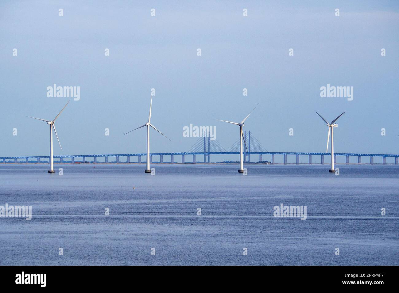 Denmark, Copenhagen - MIDDELGRUNDEN Offshore Wind Farm Stock Photo - Alamy