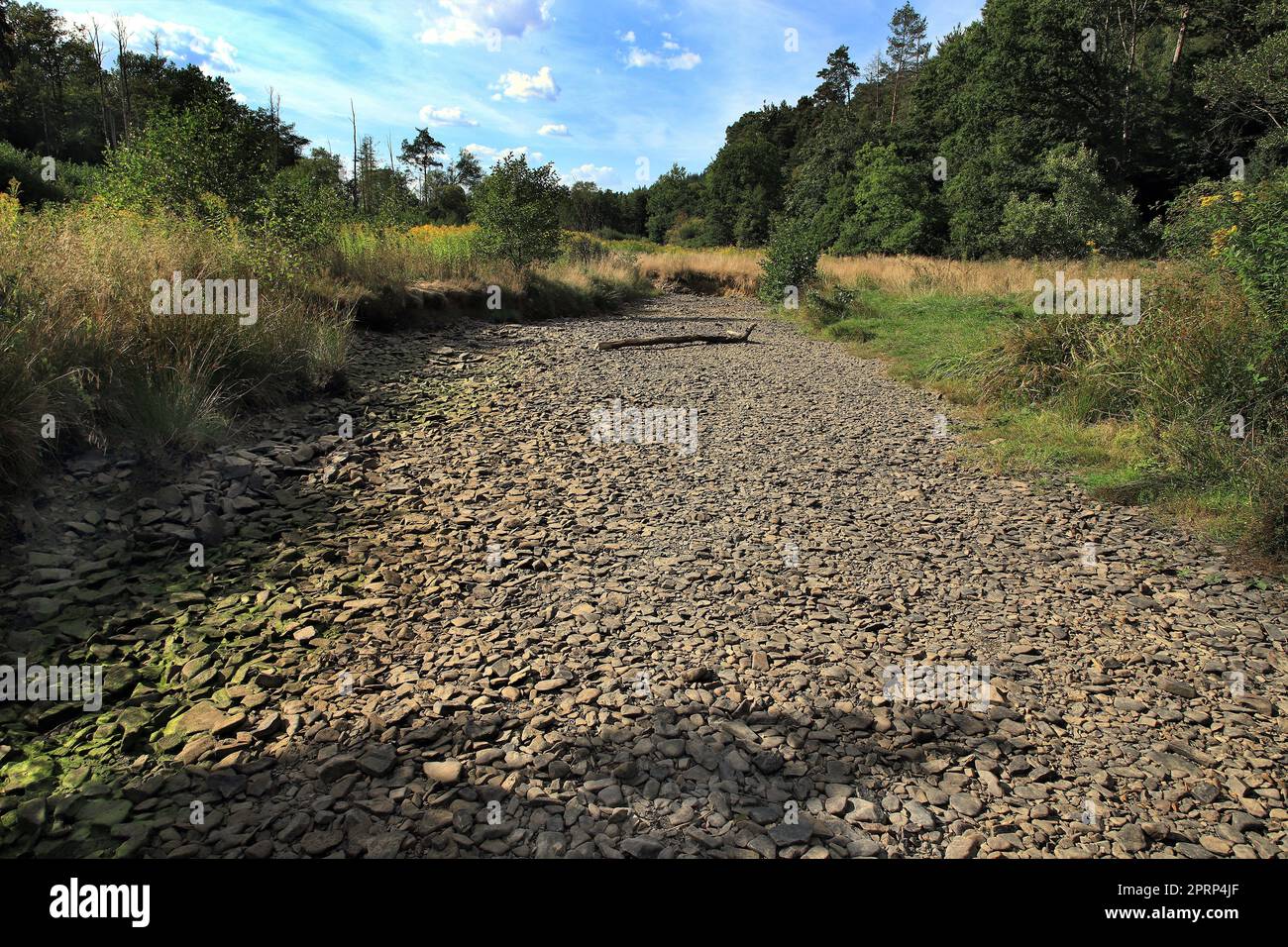 Dried out brook bed after a long period of dryness in summer 2022 Stock ...