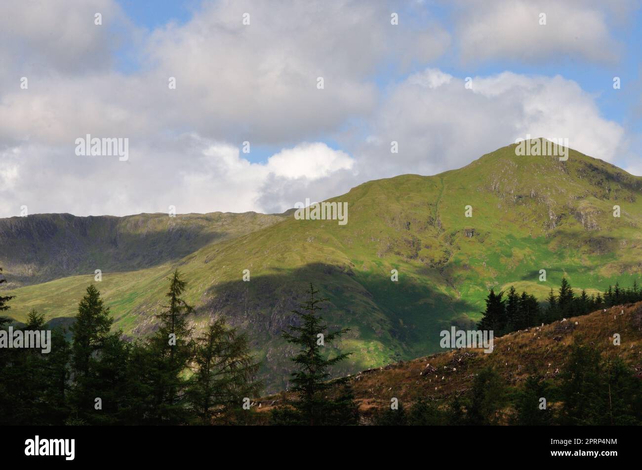 Hiking at inchree falls Stock Photo - Alamy
