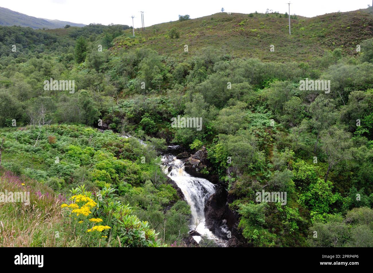 Hiking at inchree falls Stock Photo - Alamy