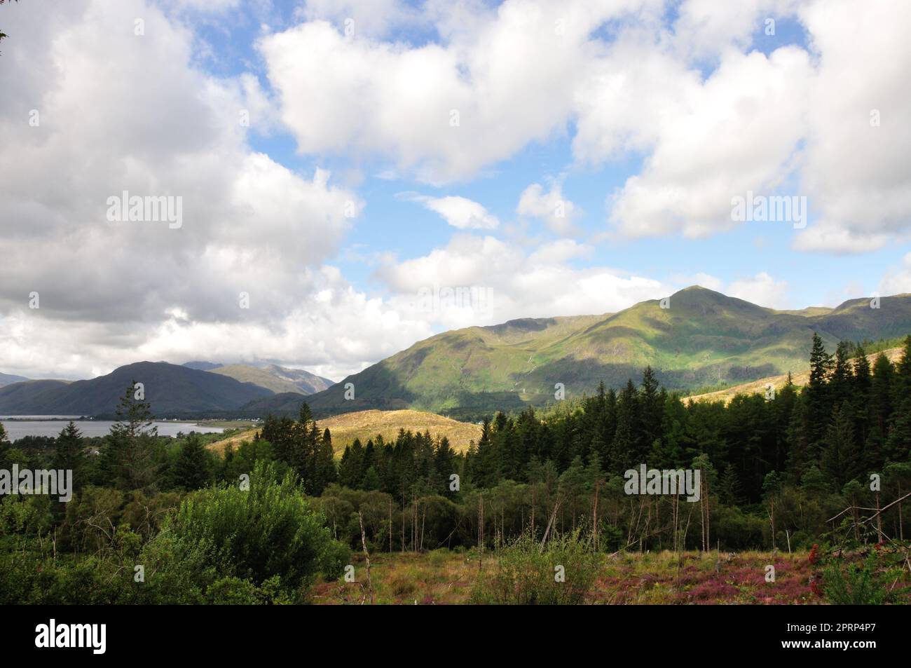 Hiking at inchree falls Stock Photo - Alamy
