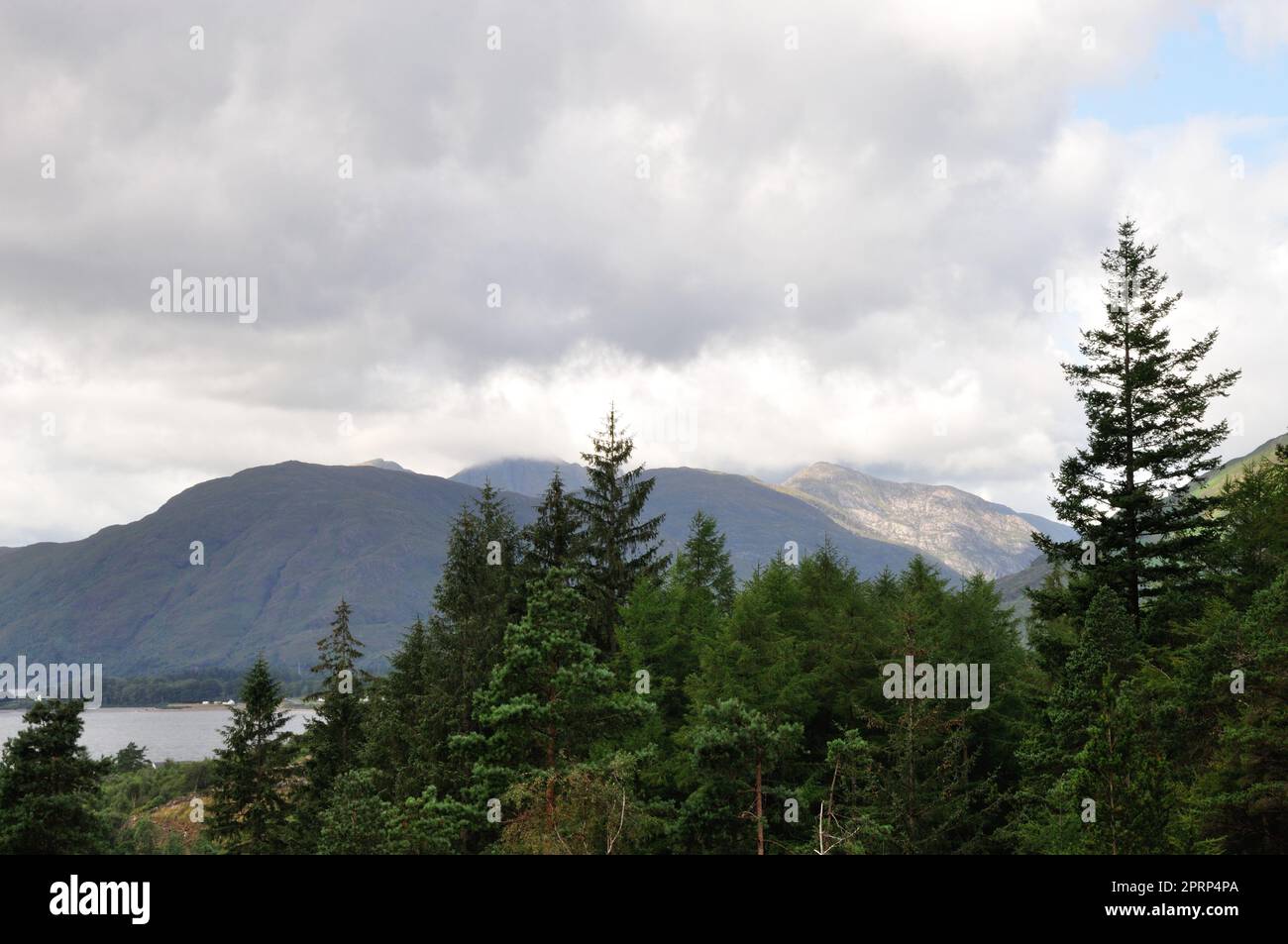 Hiking at inchree falls Stock Photo - Alamy