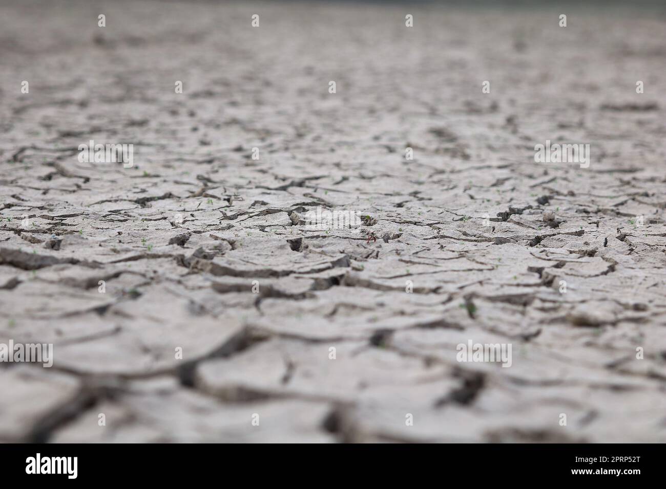 Dried riverbed hi-res stock photography and images - Alamy