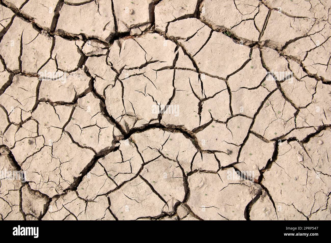 No life without water Stock Photo - Alamy