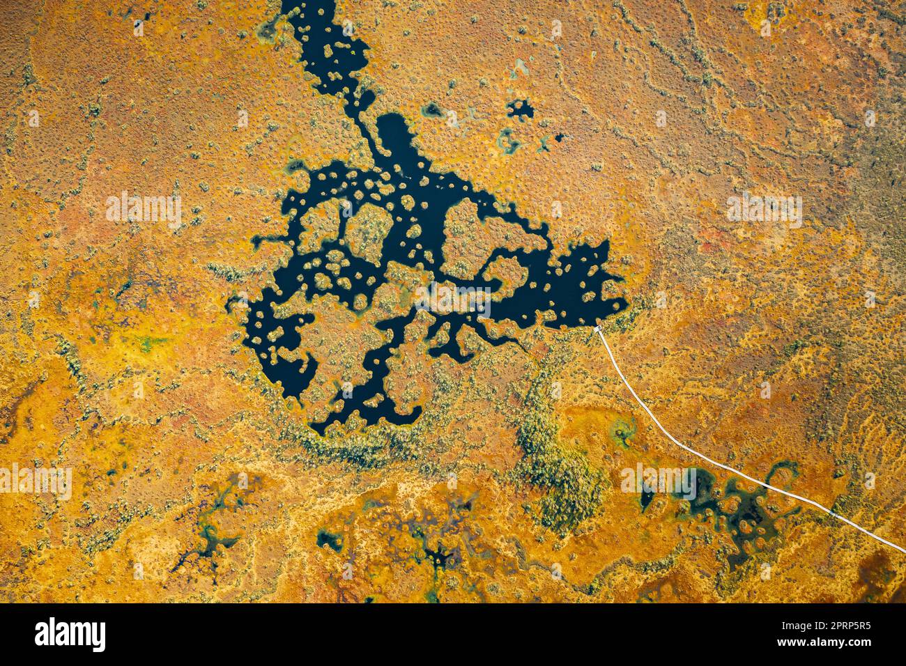 Miory District, Vitebsk Region, Belarus. The Yelnya Swamp. Aerial View ...