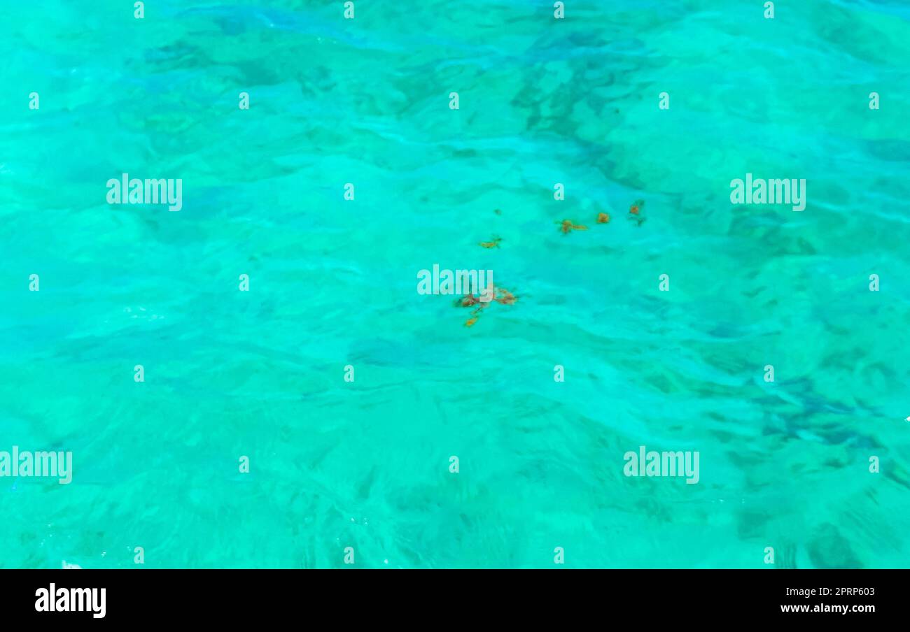 Blue turquoise water waves ocean and sea texture pattern Mexico Stock ...