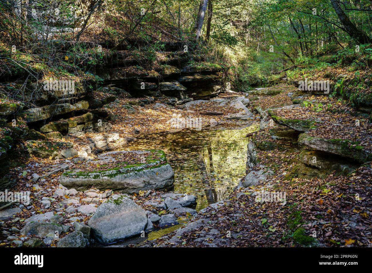 Raven run hi-res stock photography and images - Alamy