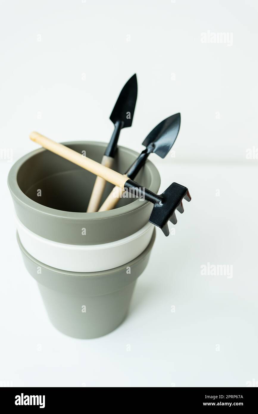 Home floriculture. Plant transplant. Pot, tub, transplanting tools ...