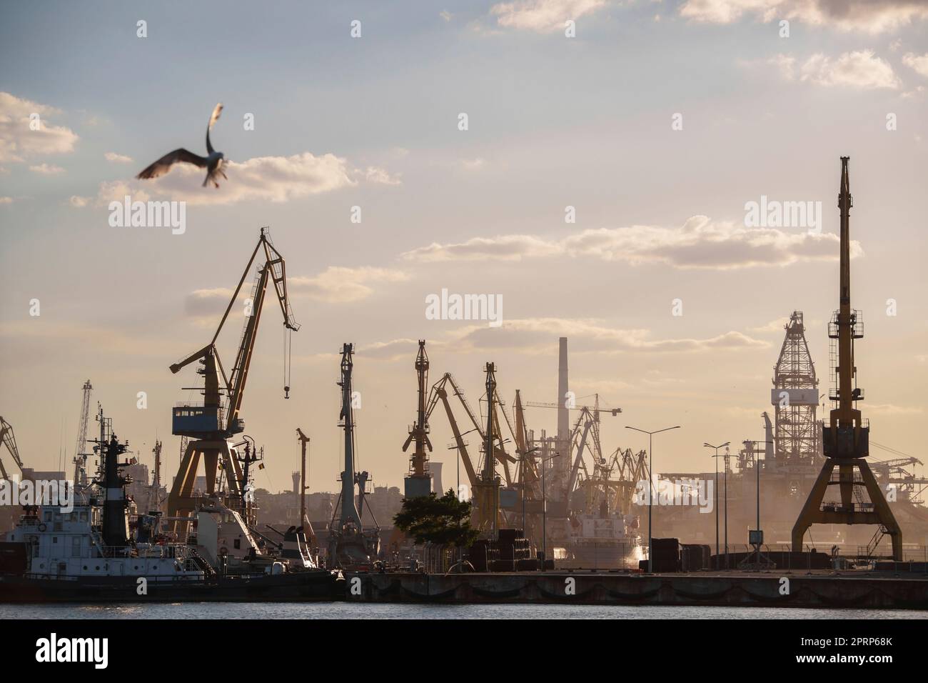 Container terminal, with cranes, in a commercial port Stock Photo - Alamy