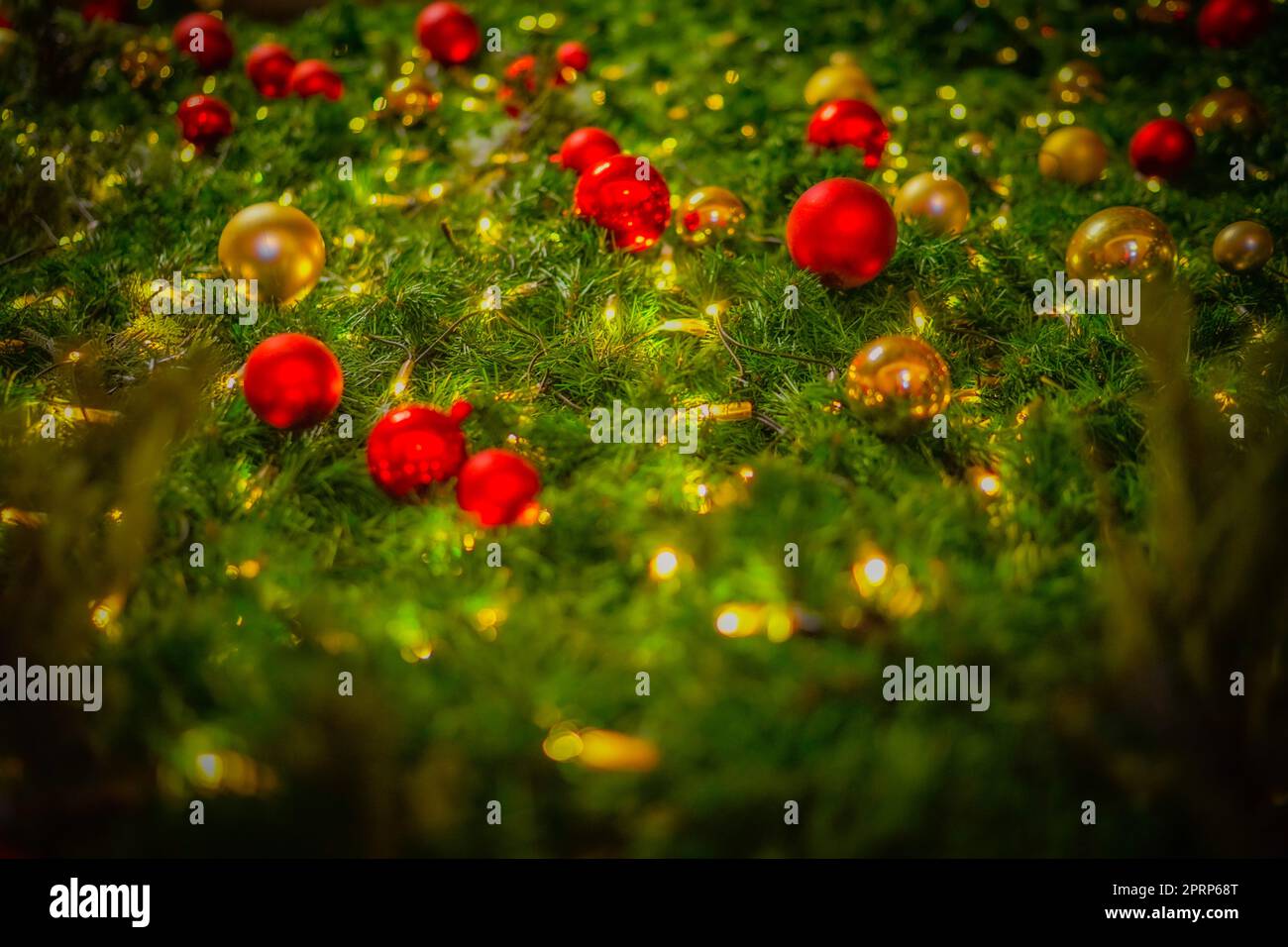 Mumble tree hi-res stock photography and images - Alamy