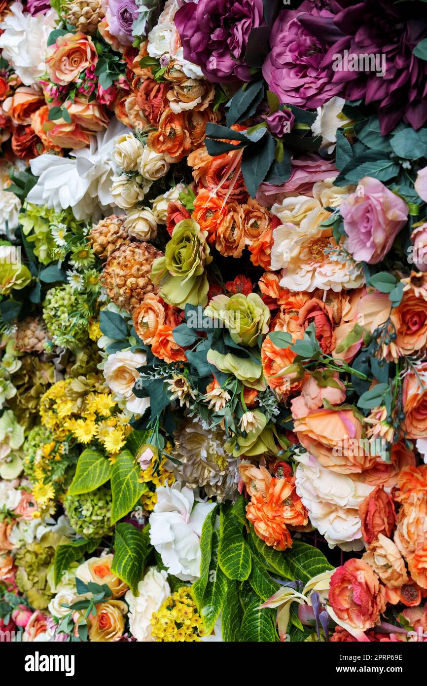 Flowers wall background with amazing red, orange, pink, purple, green ...