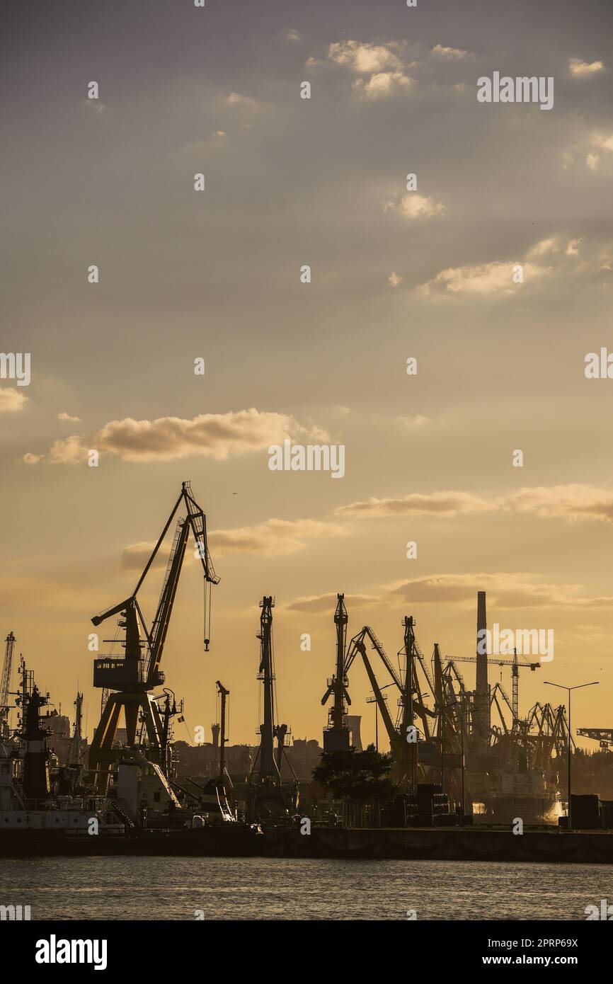 Container terminal, with cranes, in a commercial port Stock Photo - Alamy