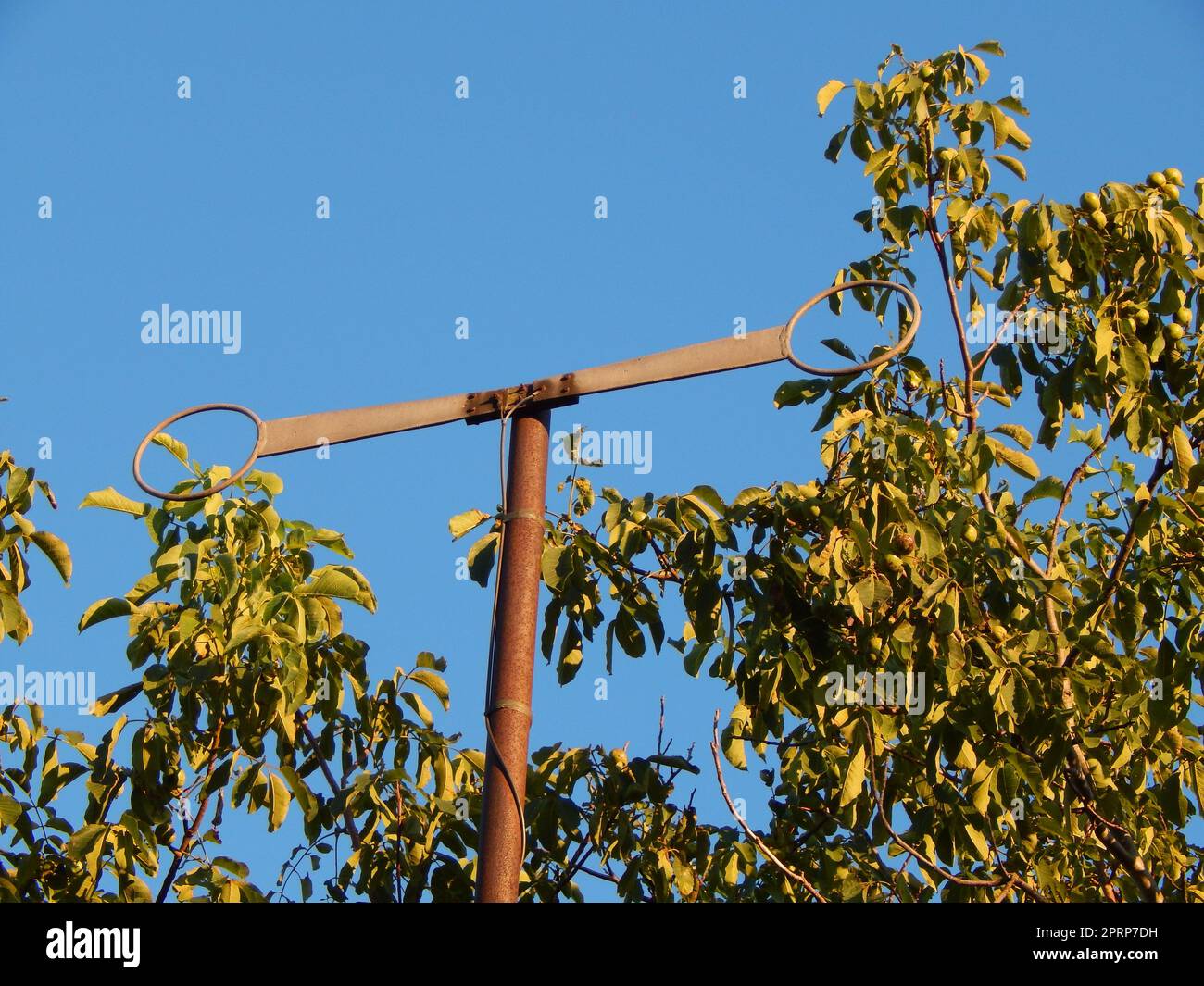TV antenna mast on the pole for communication Stock Photo - Alamy