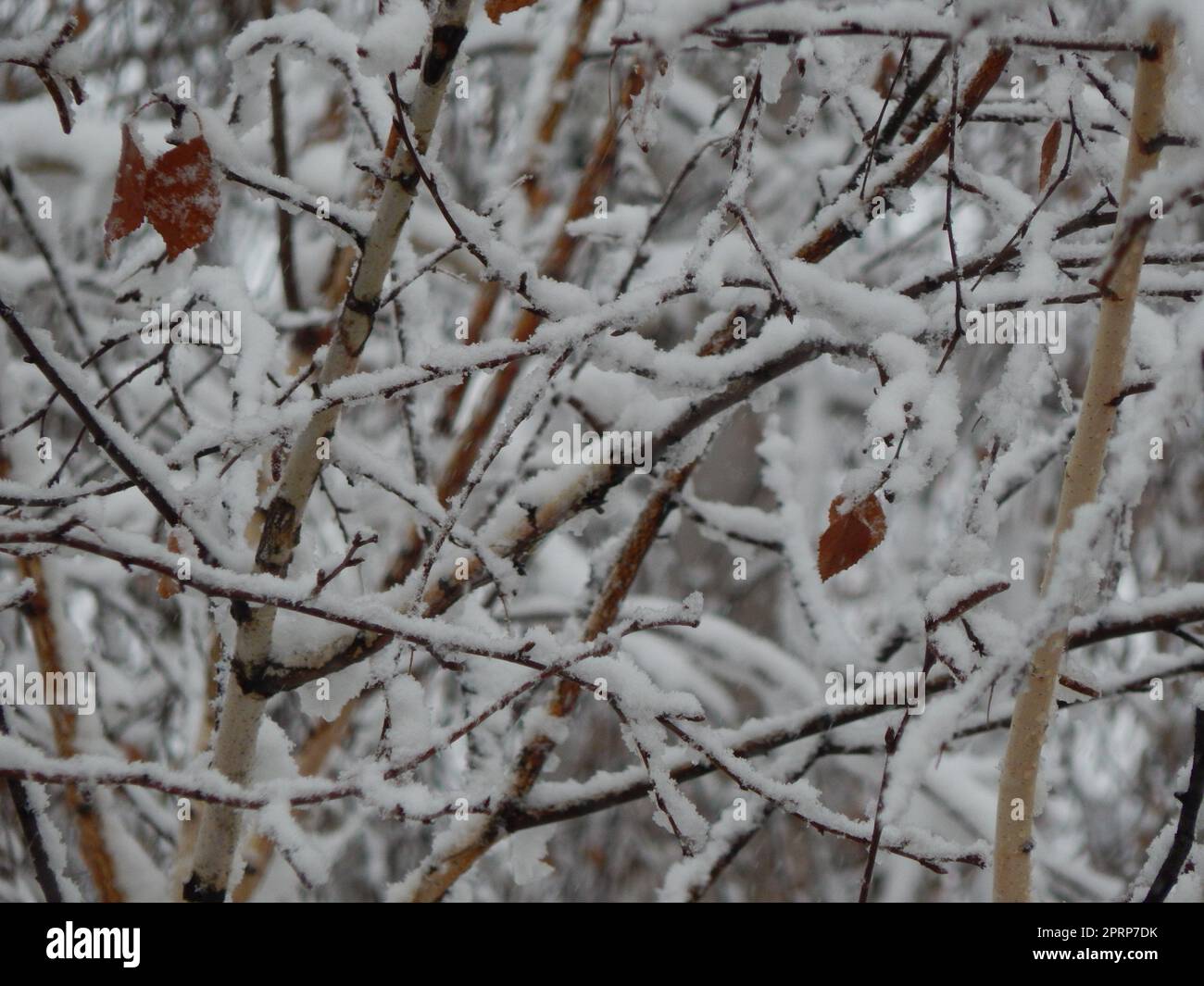 Texture snow fell on the street white background Stock Photo - Alamy