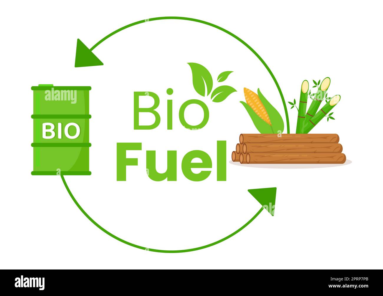 Biofuel Life Cycle of Natural Materials and Plants with Green Barrels ...