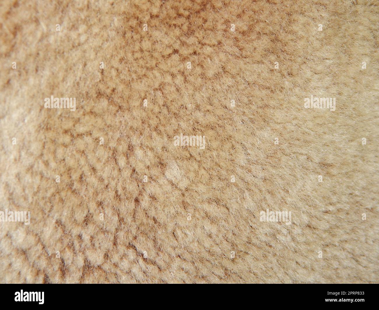 Texture of textile fabrics, clothing and carpets Stock Photo - Alamy