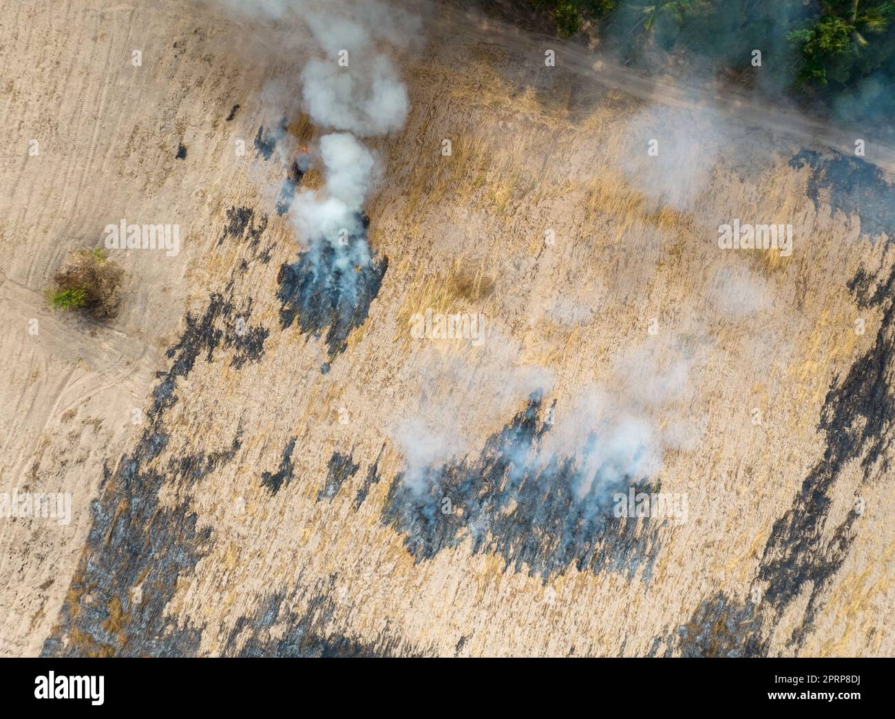 Aerial View Of Agriculture Farm With Smoke From Crop Fire Burning Releases Carbon Dioxide
