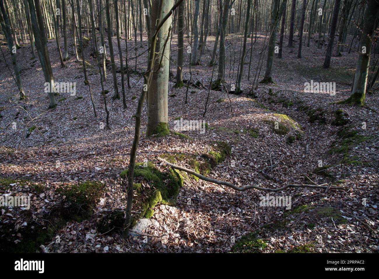 Former Nazi German defensive fighting position built in 1945 in ...