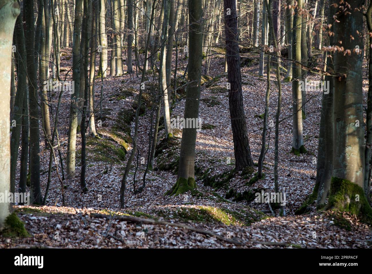 Former Nazi German defensive fighting position built in 1945 in ...