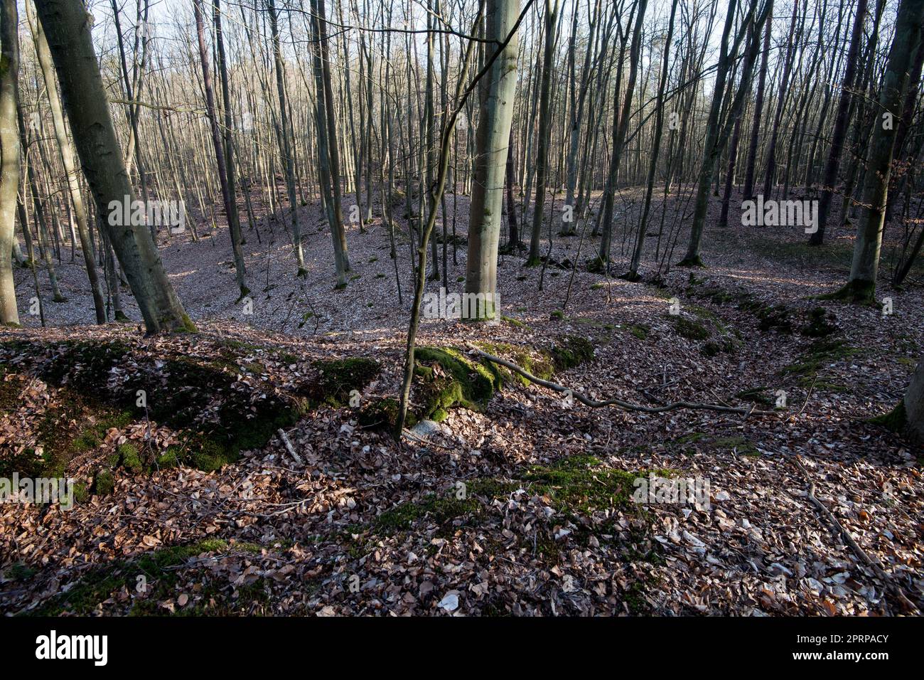 Former Nazi German defensive fighting position built in 1945 in ...