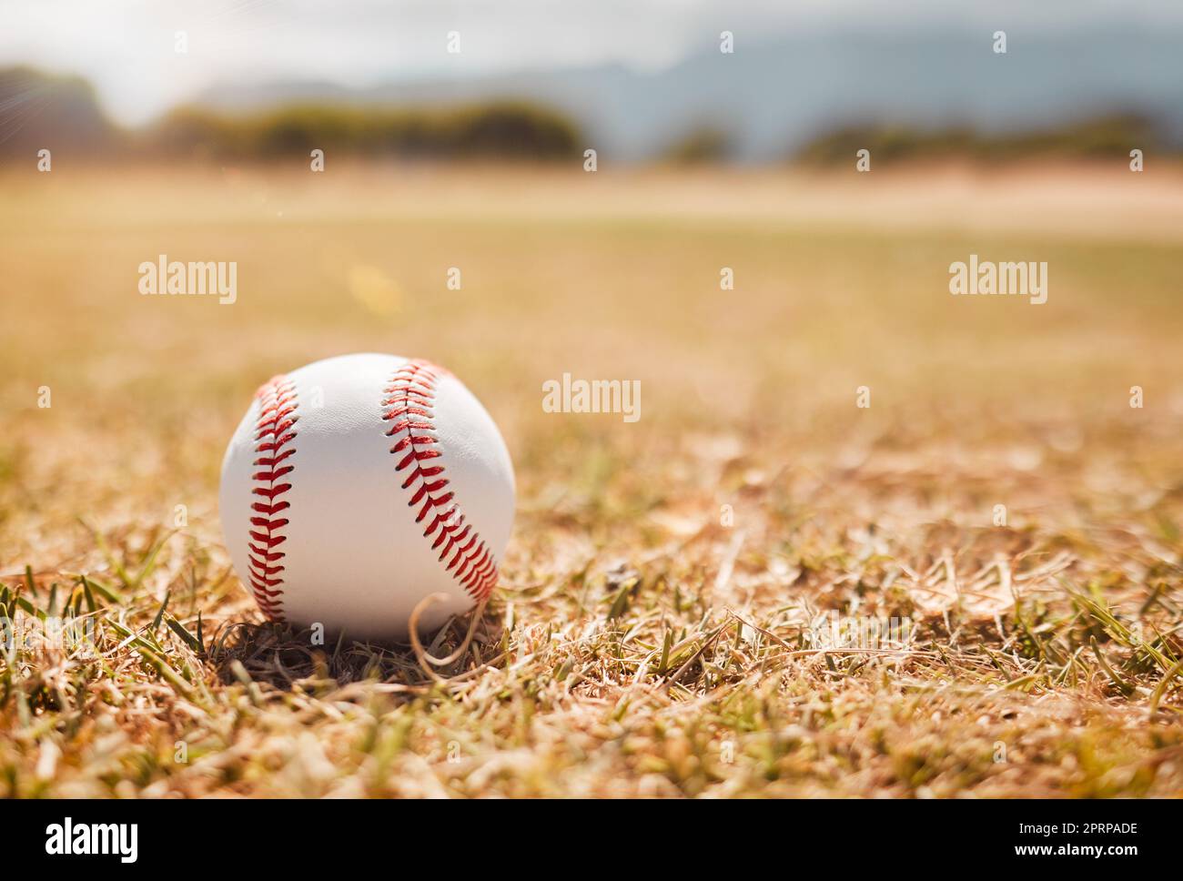 Baseball, sports ball and empty sport field on grass outdoor training ...