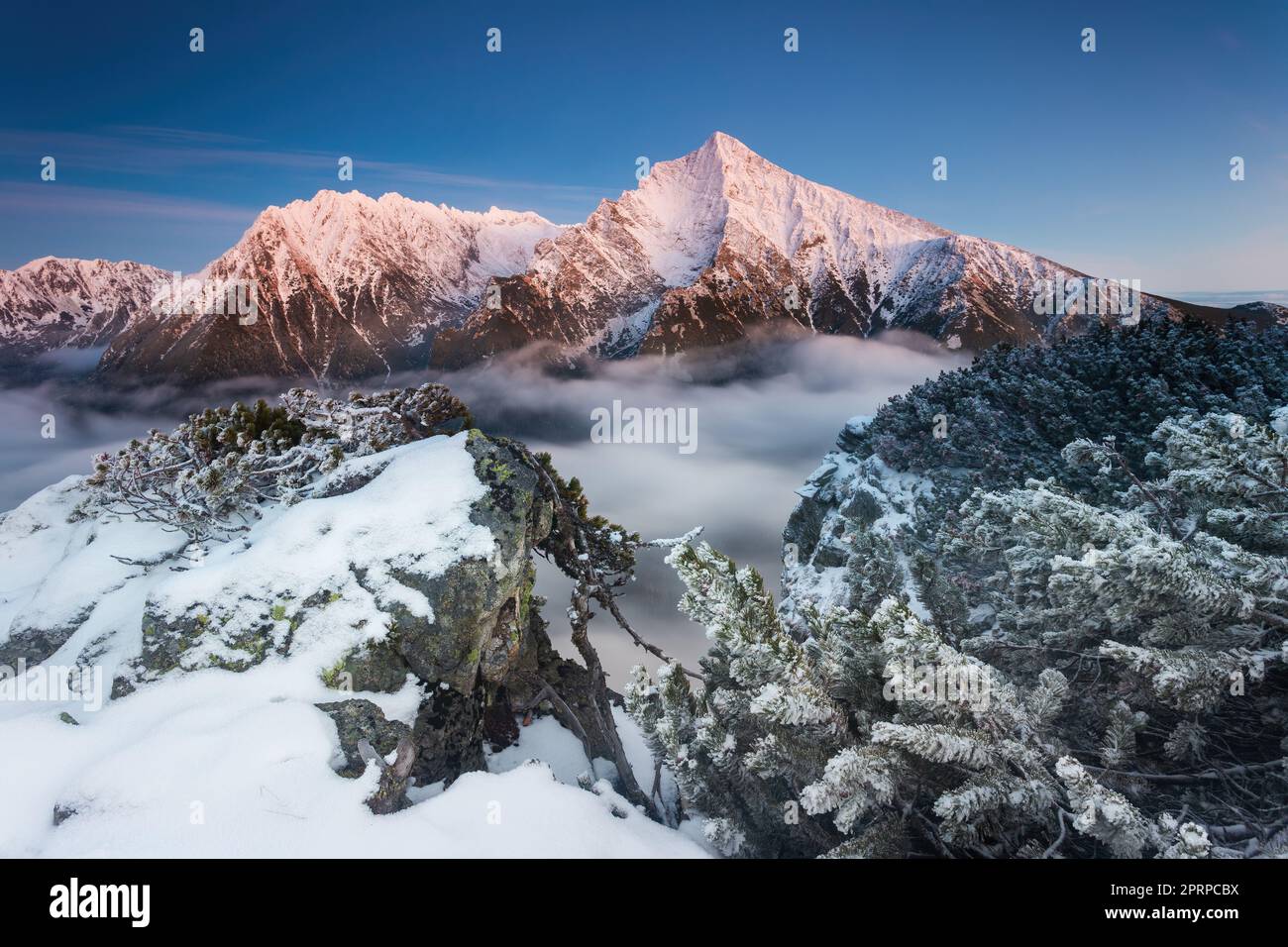Winter landscape with mountain Krivan in High Tatras illuminated by ...