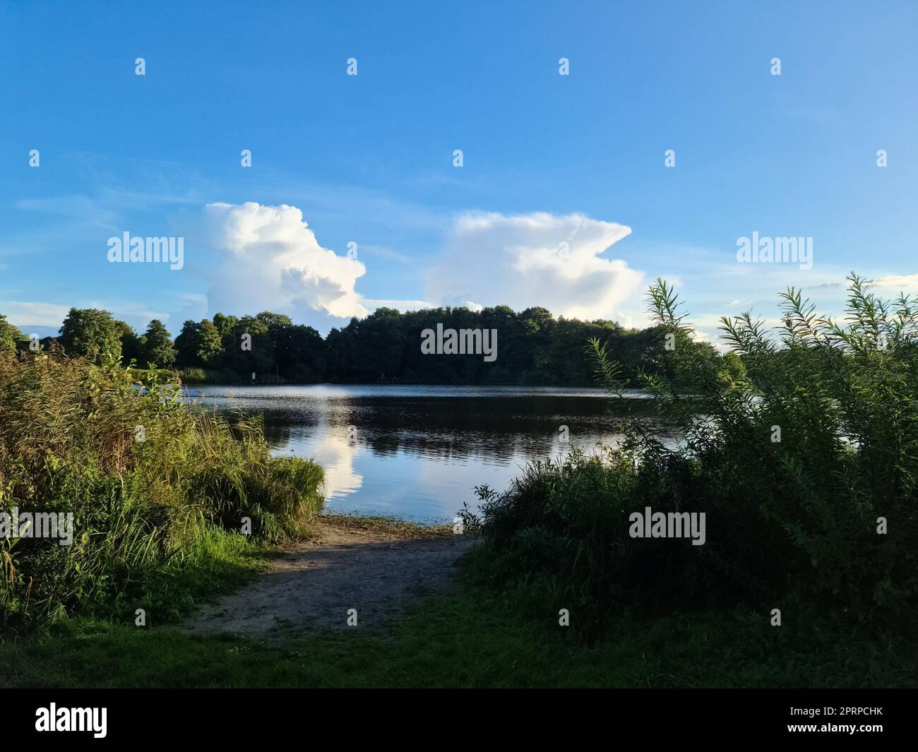 Beautiful landscape at a lake with a reflective water surface Stock ...