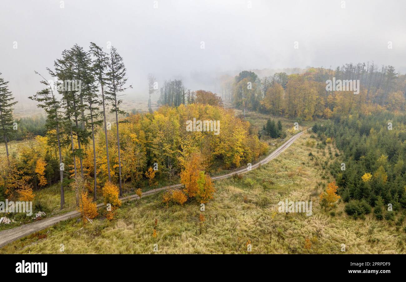 Aerial view of autumn sunrise countryside, traditional fall landscape ...