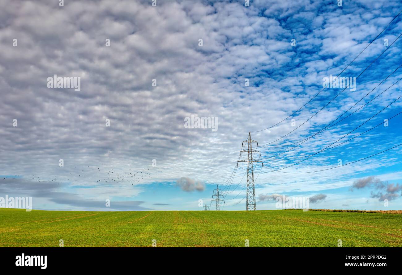 High voltage power lines in field against a blue sky. Autumn fall ...