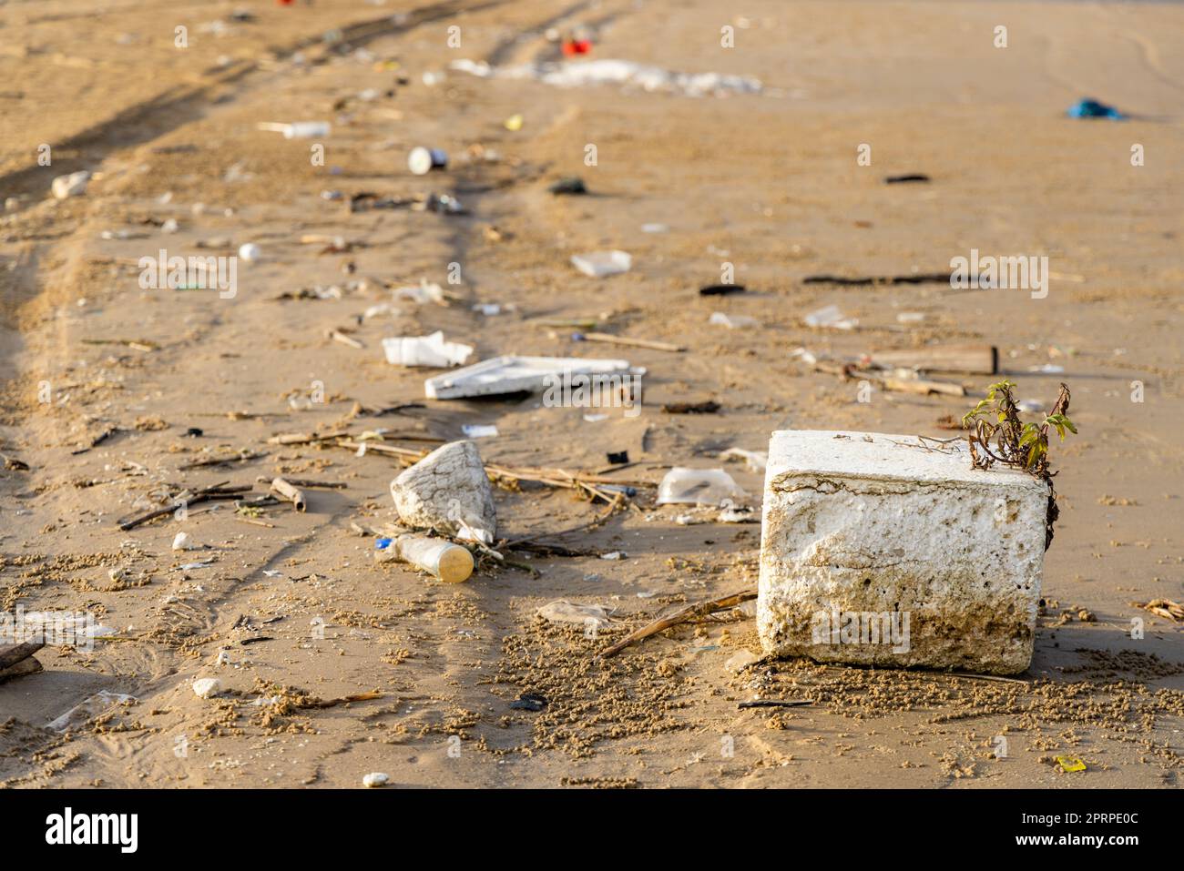Trash on the sand beach Stock Photo - Alamy