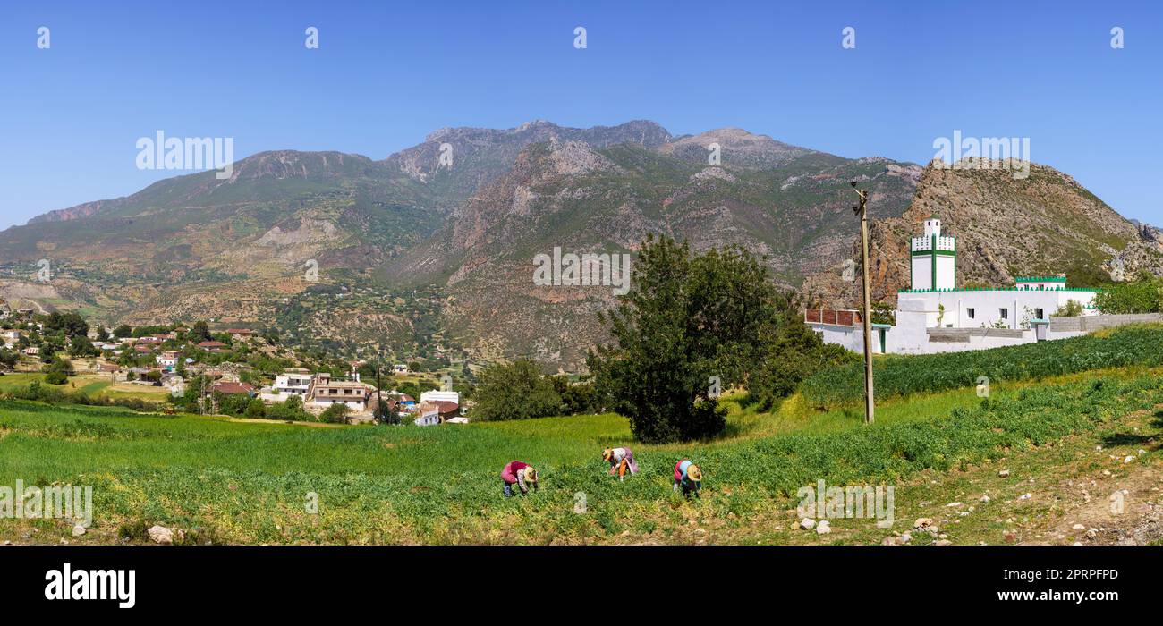 women working the fields, Talassemtane Natural Park, Rif mountains ...